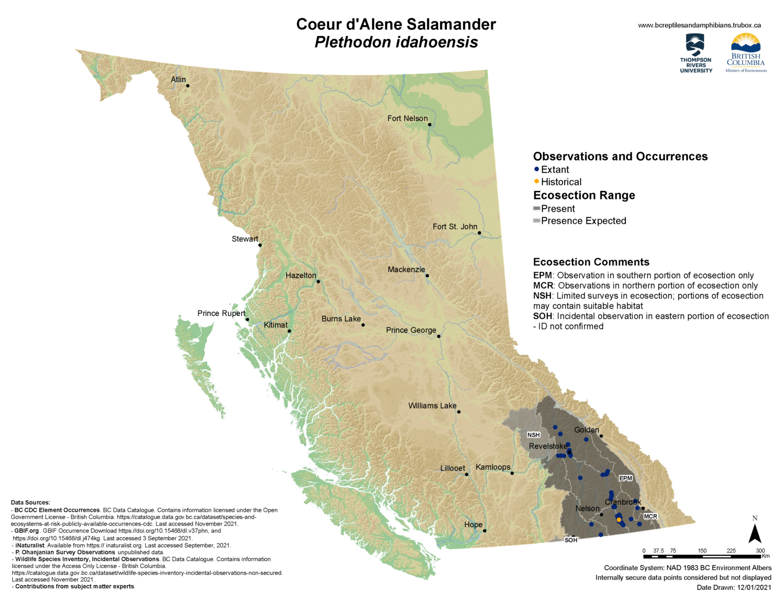 Coeur d’Alene Salamander – B.C. Reptiles & Amphibians