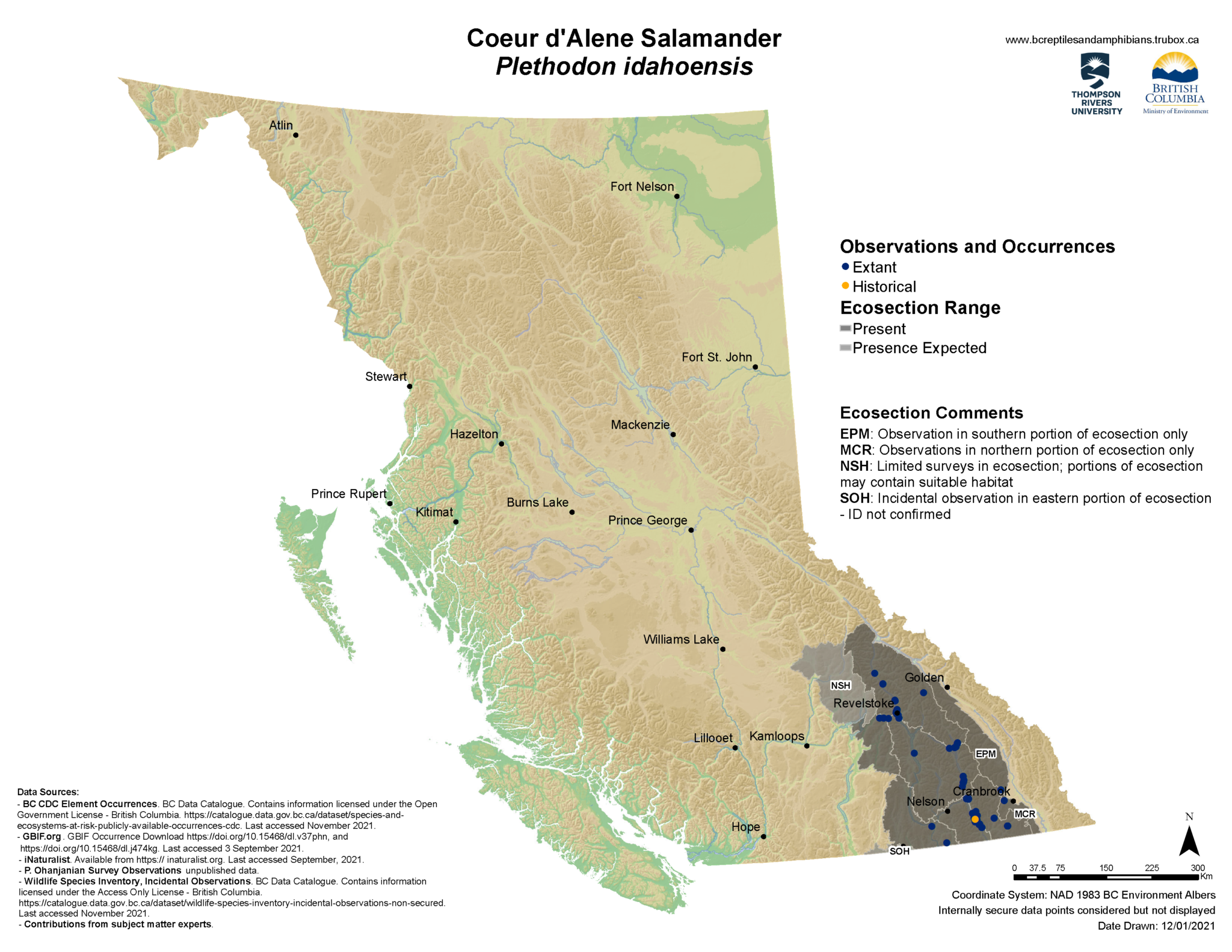Coeur d’Alene Salamander – B.C. Reptiles & Amphibians